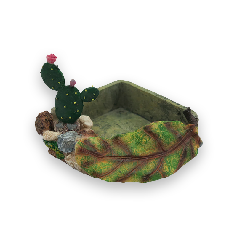 Fontaine Pour Tortue De Terre | Tortue Paradise